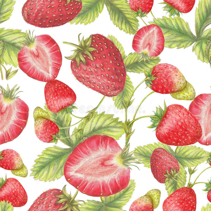 Strawberry pattern stock illustration. Illustration of artistic - 68684684