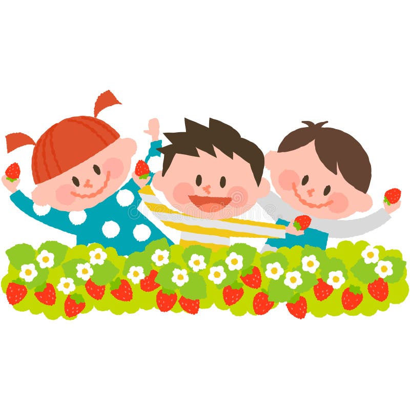 Strawberry picking stock illustration. Illustration of food - 30187514