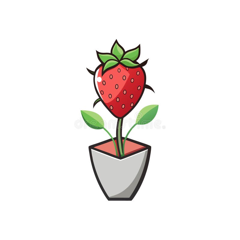 Strawberry Plant in a Pot Vector Illustration Stock Illustration ...