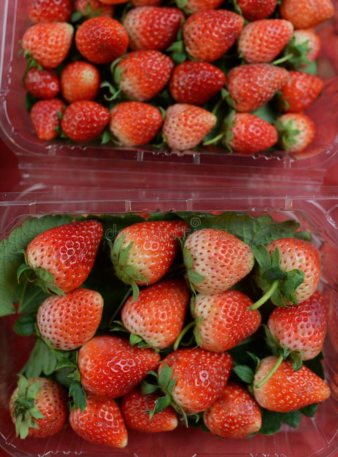 Strawberry in Plastic Package Stock Photo - Image of seeds, nutrition ...
