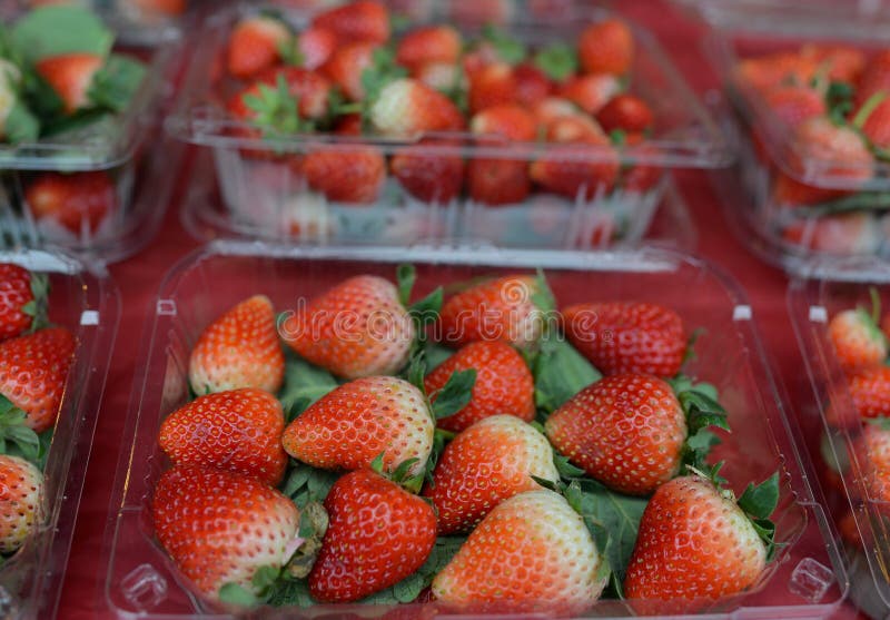 Strawberry in Plastic Package Stock Image - Image of fruit, packaged ...
