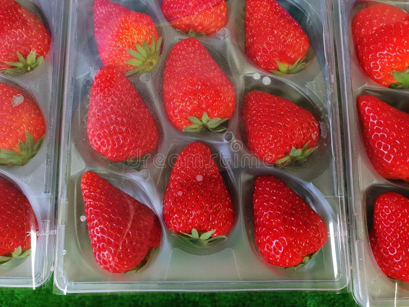 Food : Punnet of Blueberries Stock Image - Image of market, juicy ...