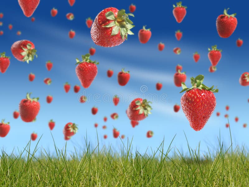 Strawberry rain stock image. Image of freshness, natural - 5142949