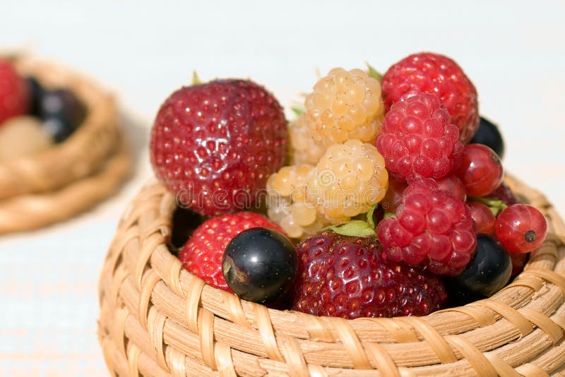 Strawberry, Raspberry, Black Currant, Red Currant Stock Photo - Image ...
