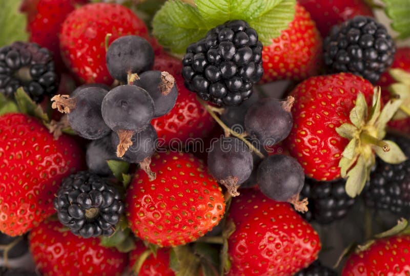 Strawberry, Raspberry and Blackberry Stock Photo - Image of nature ...