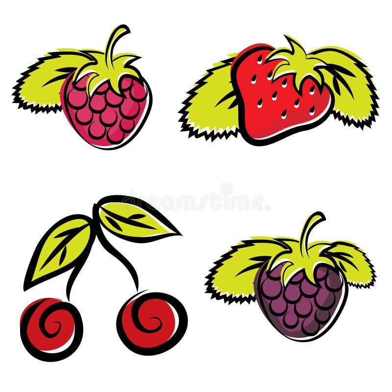 Strawberry, Raspberry, Cherry and Blackberry Stock Vector ...