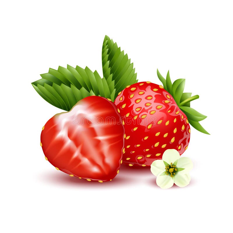 Strawberry Realistic Design Concept Stock Vector - Illustration of ...
