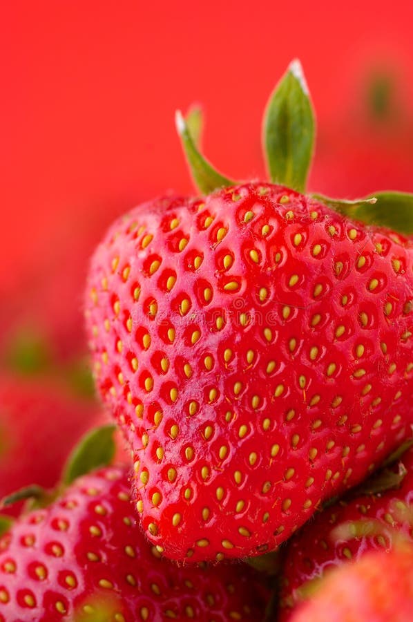 Strawberry on Red Background Stock Image - Image of healthy, love: 1287087