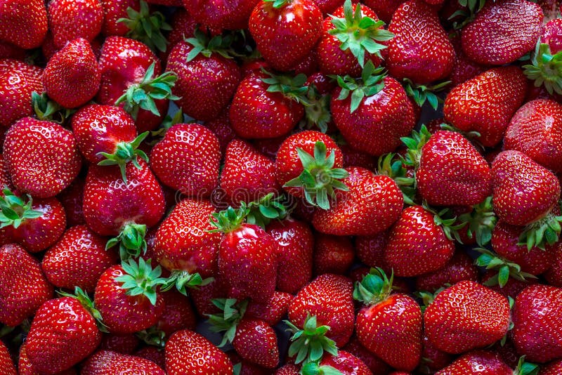 Strawberry. Red strawberry stock photo. Image of diet - 92865680