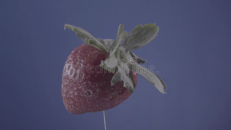 Strawberry Rotating with Loop on Blue Screen for Chroma Key Stock Video ...