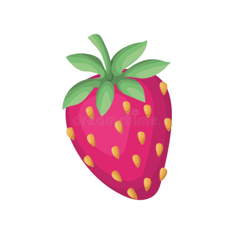 Strawberry with Seeds of a Pink Color Stock Vector - Illustration of ...