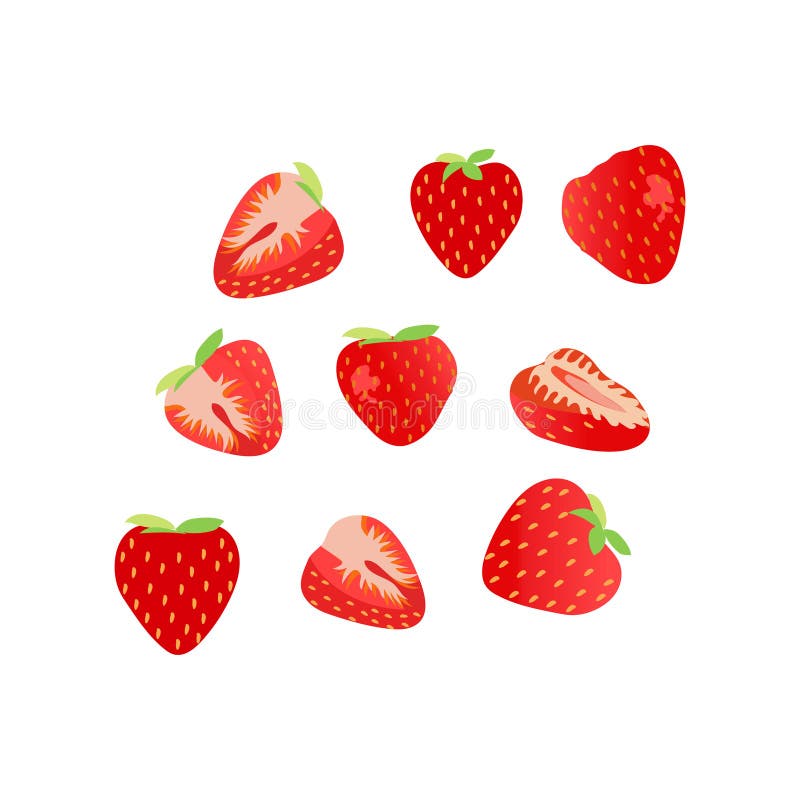 Strawberry Set Free Vector Illustration Stock Illustration ...