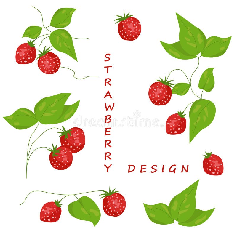 Strawberry Elements Stock Illustrations – 6,763 Strawberry Elements ...