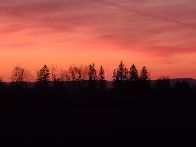 Strawberry sky stock photo. Image of evening, strawberry - 221528084