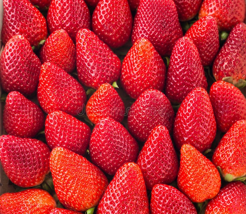 Strawberry Solid Square Background Stock Photo - Image of fruit ...