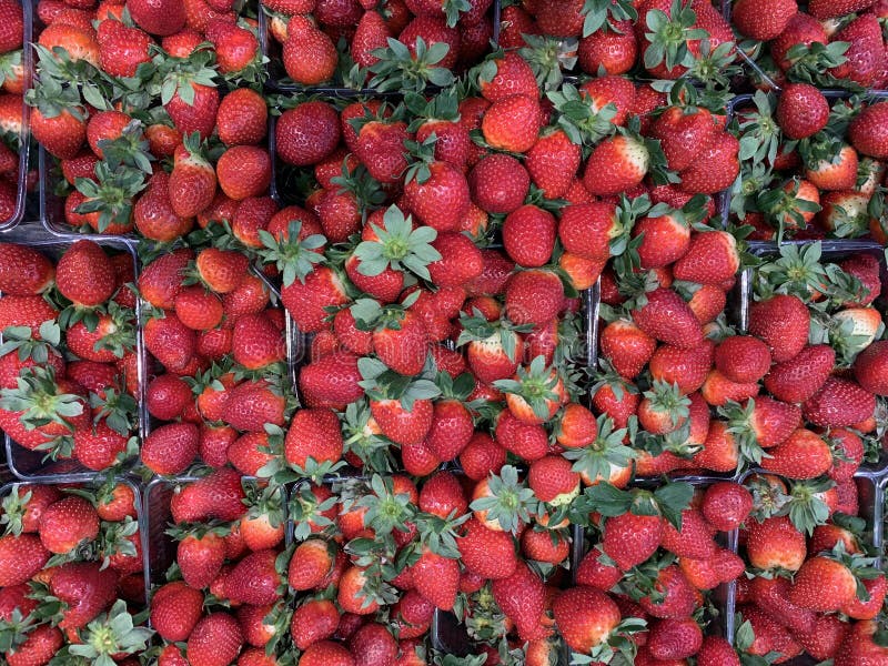 Strawberry in the store stock image. Image of seasonal - 172748509