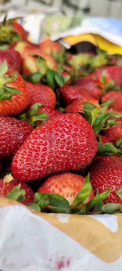 Strawberry in Sunlight Close Up with Delicious Taste. Stock Image ...