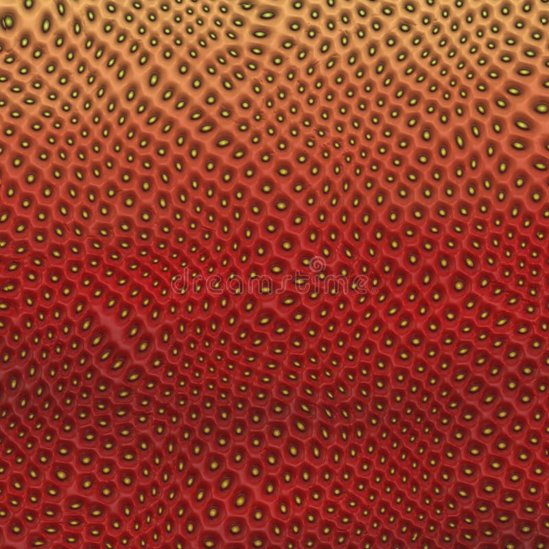 Woman with strawberry stock image. Image of attractive - 9505413