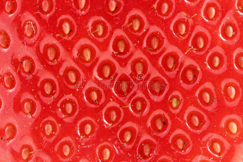 Strawberry Texture stock image. Image of text, delicous - 19538227