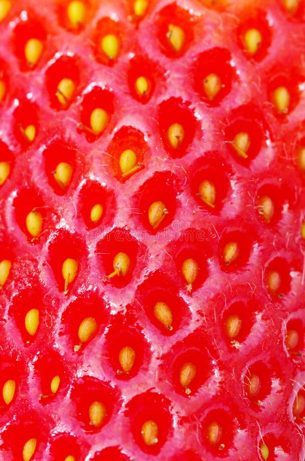 530+ Strawberry texture Free Stock Photos - StockFreeImages