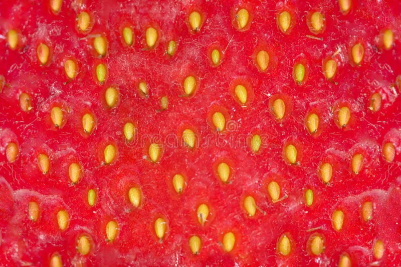 Strawberry texture stock image. Image of berries, color - 2416605