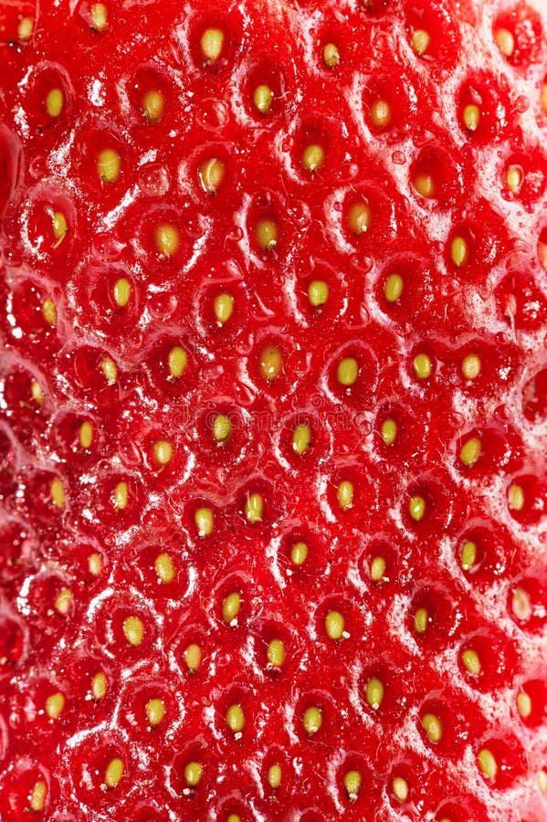 Macro Close Up of Strawberry Surface, Background Texture. Stock Image ...