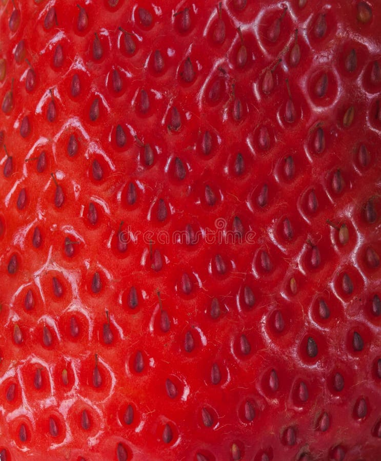 Strawberry stock image. Image of seamless, health, detail - 42128723