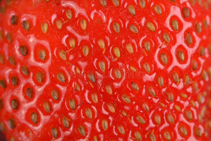 Strawberry texture stock photo. Image of green, seed - 112412166