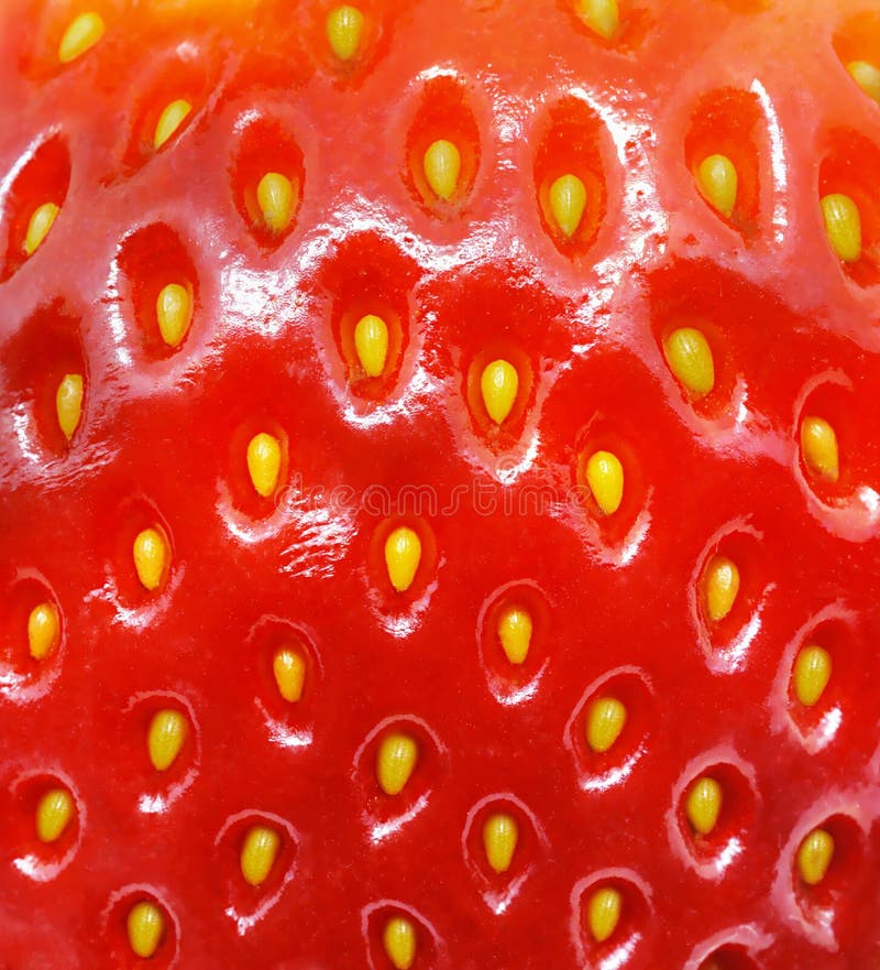 Strawberry Texture. Macro Shoot Stock Image - Image of food, sweet ...