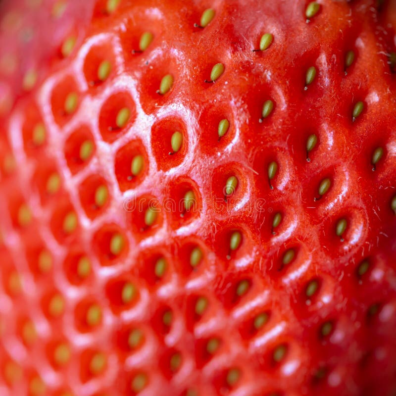 Strawberry Texture Stock Images - Download 23,333 Royalty Free Photos