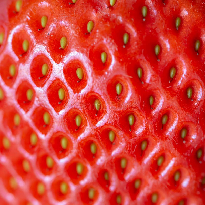 Strawberry Texture Stock Images - Download 23,333 Royalty Free Photos