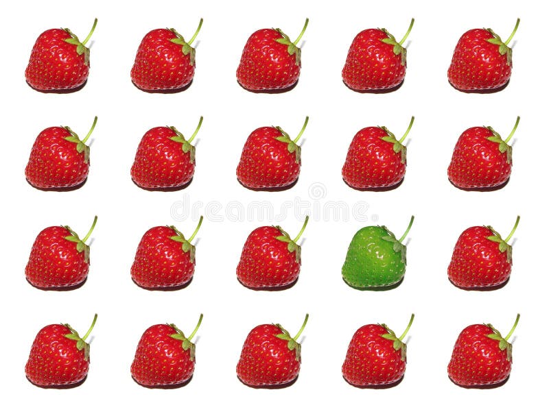 Fresh crunchy apples stock photo. Image of diet, apple - 1283856