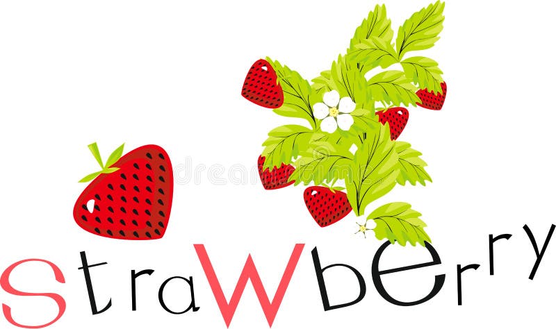 Strawberry with title stock vector. Illustration of summer - 48262422