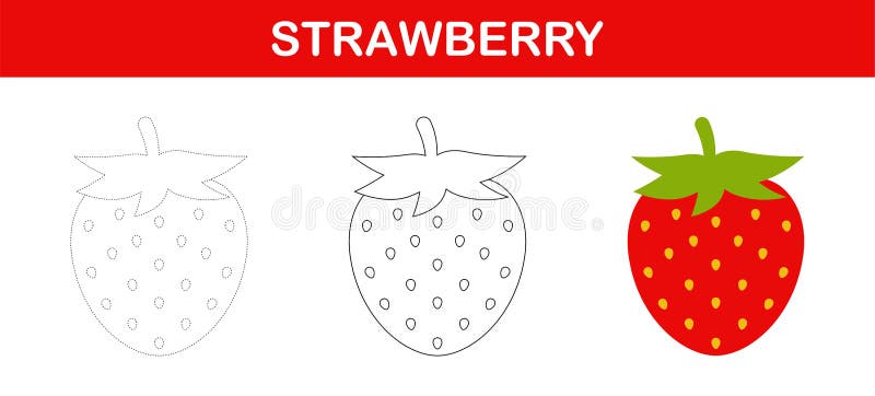 Strawberry Tracing and Coloring Worksheet for Kids Stock Vector ...