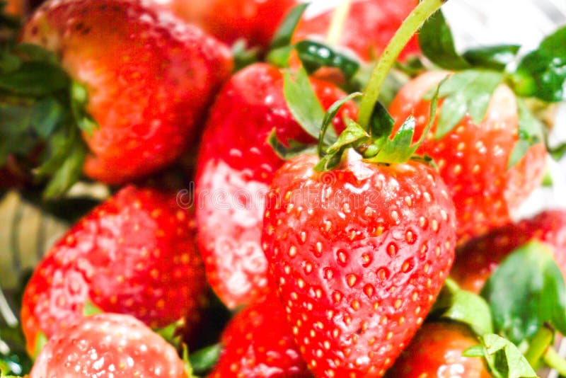 Strawberry Tray in the Tray To Wait Stock Image - Image of beautiful ...