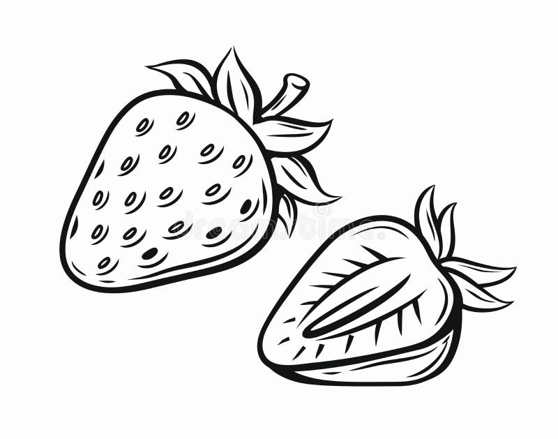 Outline Strawberry Stock Illustrations – 21,314 Outline Strawberry ...