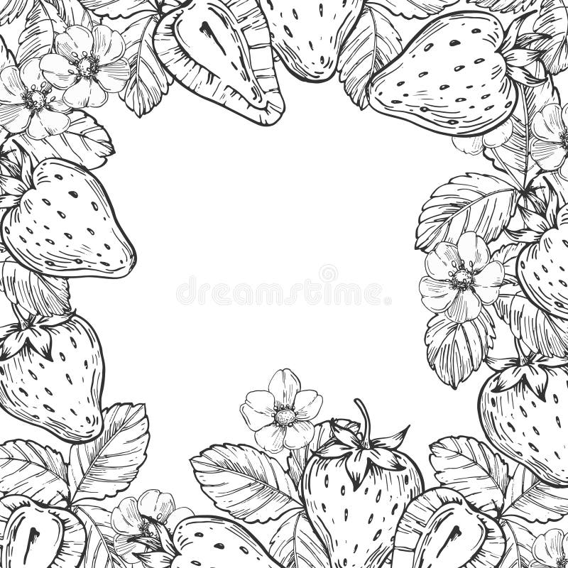 Strawberry Vector Black and White Frame Hand Drawn with Ink. Stock ...