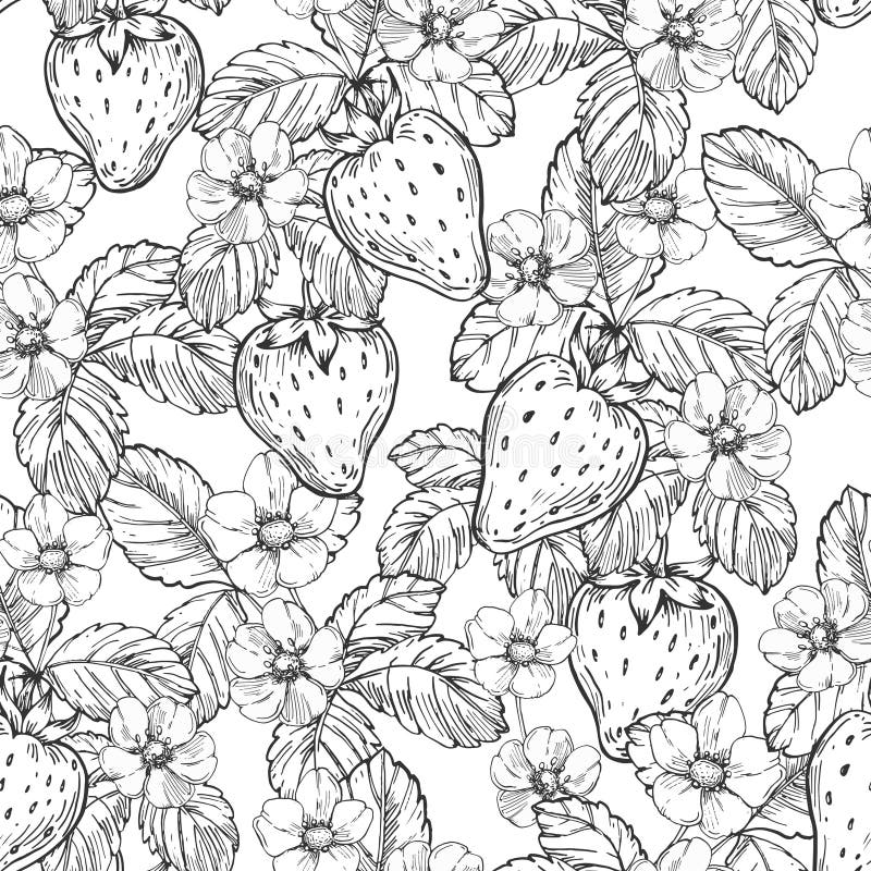 Strawberry Vector Black and White Seamless Pattern Hand Drawn with Ink ...
