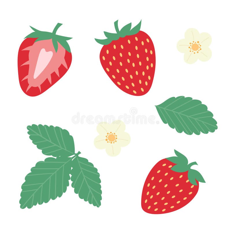Strawberry Vector Flat Illustration Set, Fruit Clip Art Stock Vector ...