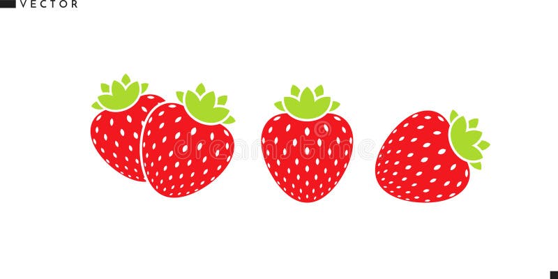 Strawberry vector stock vector. Illustration of fruit - 371637377