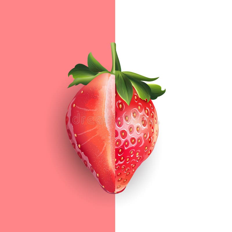 Pineapple and Strawberry. Vector Illustration Stock Vector ...