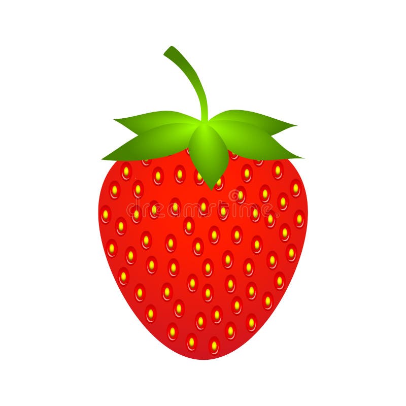 Strawberry Vector Isolated on a White Background Stock Vector ...