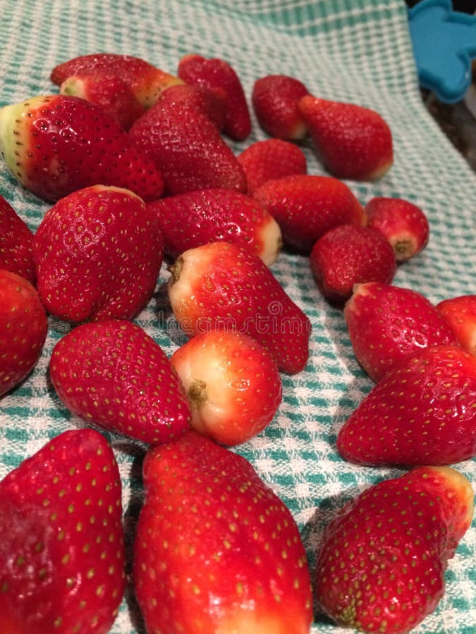 Strawberry editorial image. Image of washed, peeled, strawberry - 42866895
