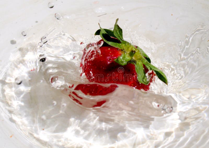 Strawberry in water stock photo. Image of refreshed, clean - 2284634