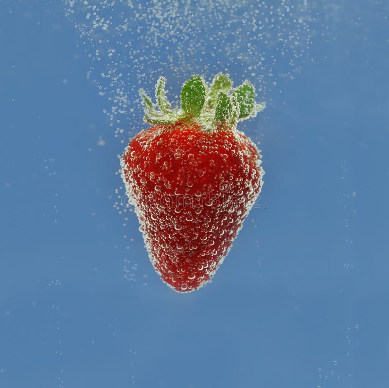 Strawberry in water stock photo. Image of fruits, bubbling - 24606196