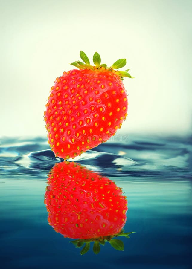 Strawberry in water. stock image. Image of shiny, macro - 18666665