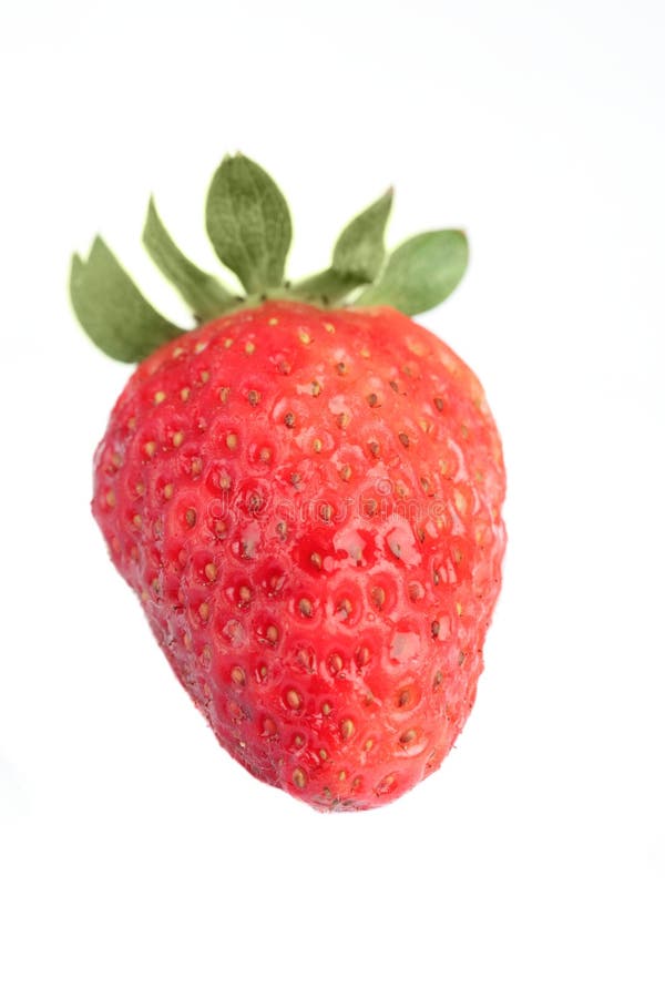 Strawberry on White Background Stock Photo - Image of healthy ...