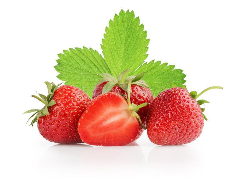 Strawberry Plant Isolated on White Background Stock Photo - Image of ...