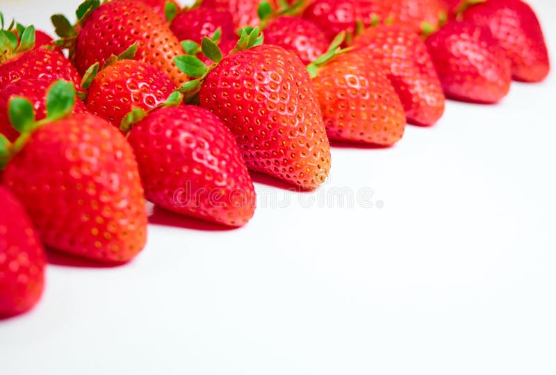 388 Different Sizes Shapes Leaf Photos - Free & Royalty-Free Stock ...