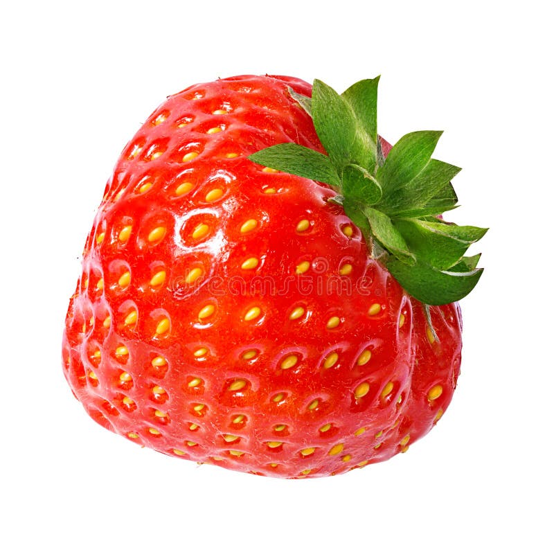 Strawberry on white stock photo. Image of healthy, organic - 91824352